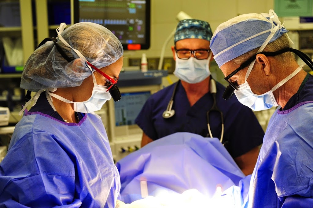 Nicol Corbin Bush, MD in 3716 Standridge Dr Suite 200, The Colony, TX ...