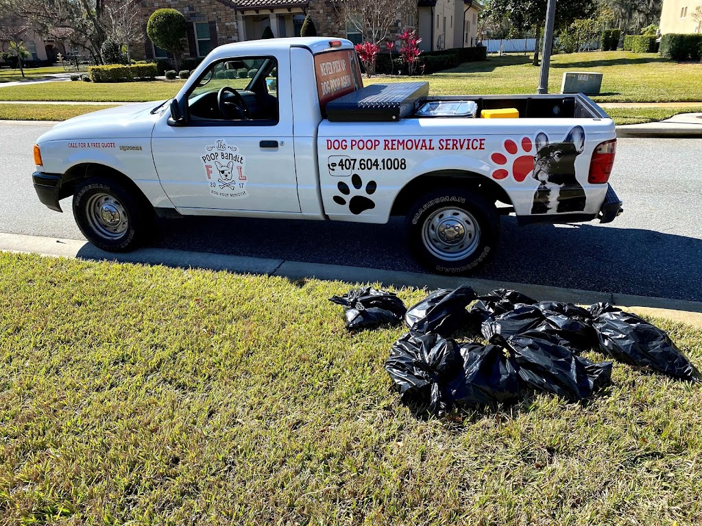 Poop Bandit - Dog Pooper Scooper Pickup - 16227 Wind View Ln, Winter ...