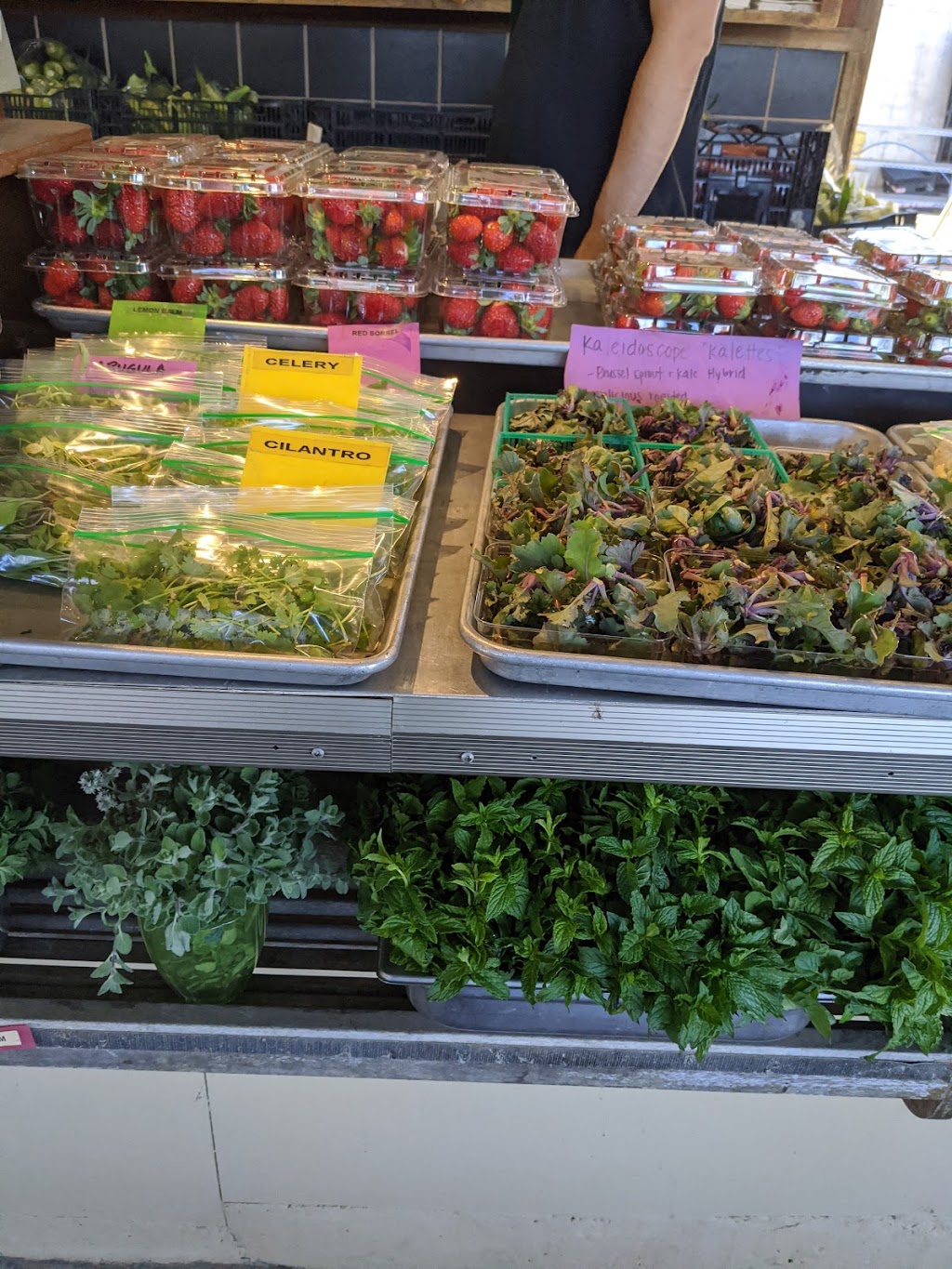 The Vegetable Shop at Chino Farm - 6123 Calzada Del Bosque, Rancho ...