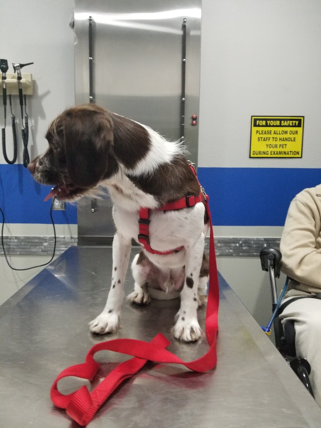 Value Vet Canoga Park
