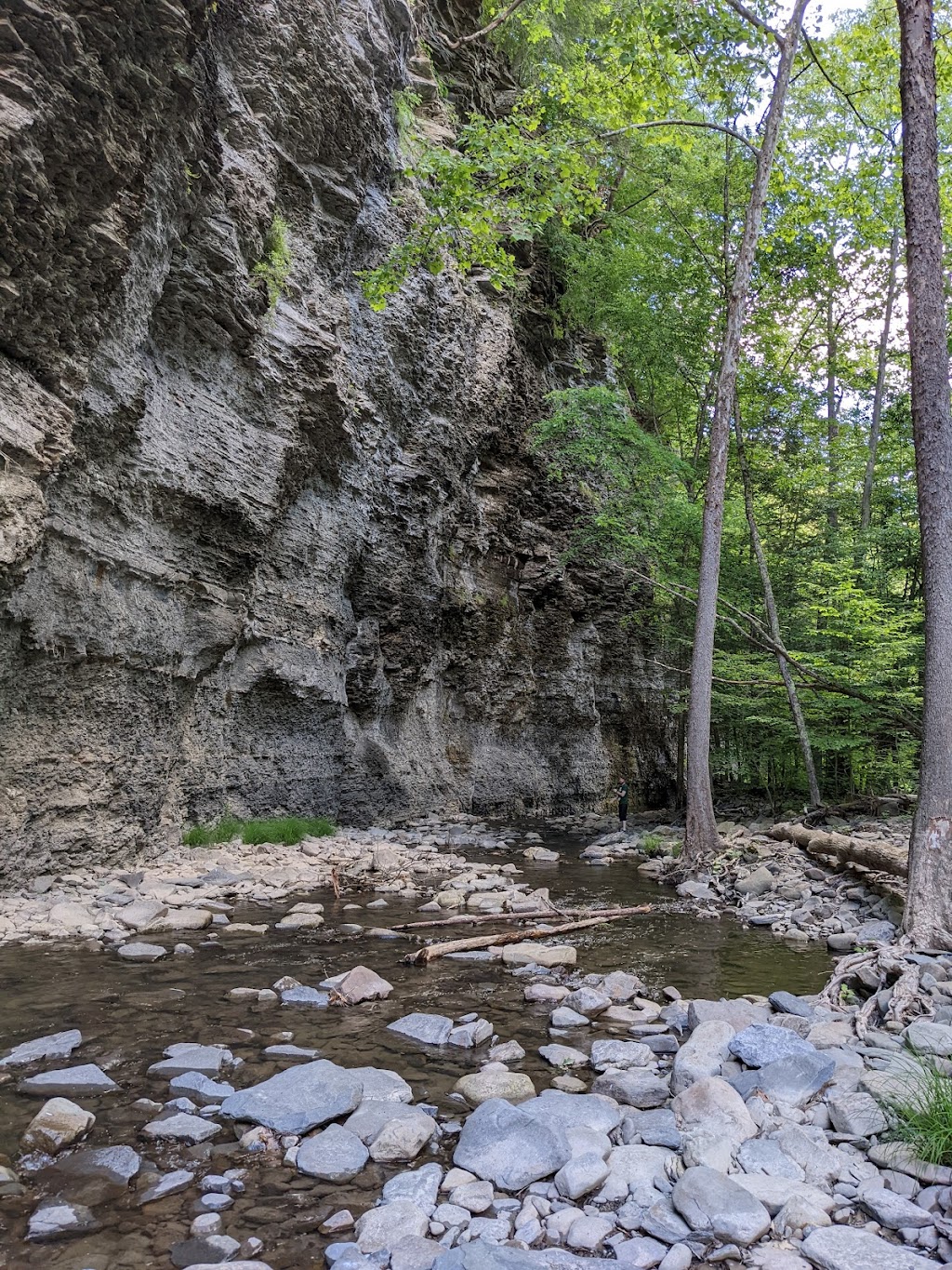 Mine Kill State Park - 161 Mine Kill Rd, North Blenheim, NY 12131 ...