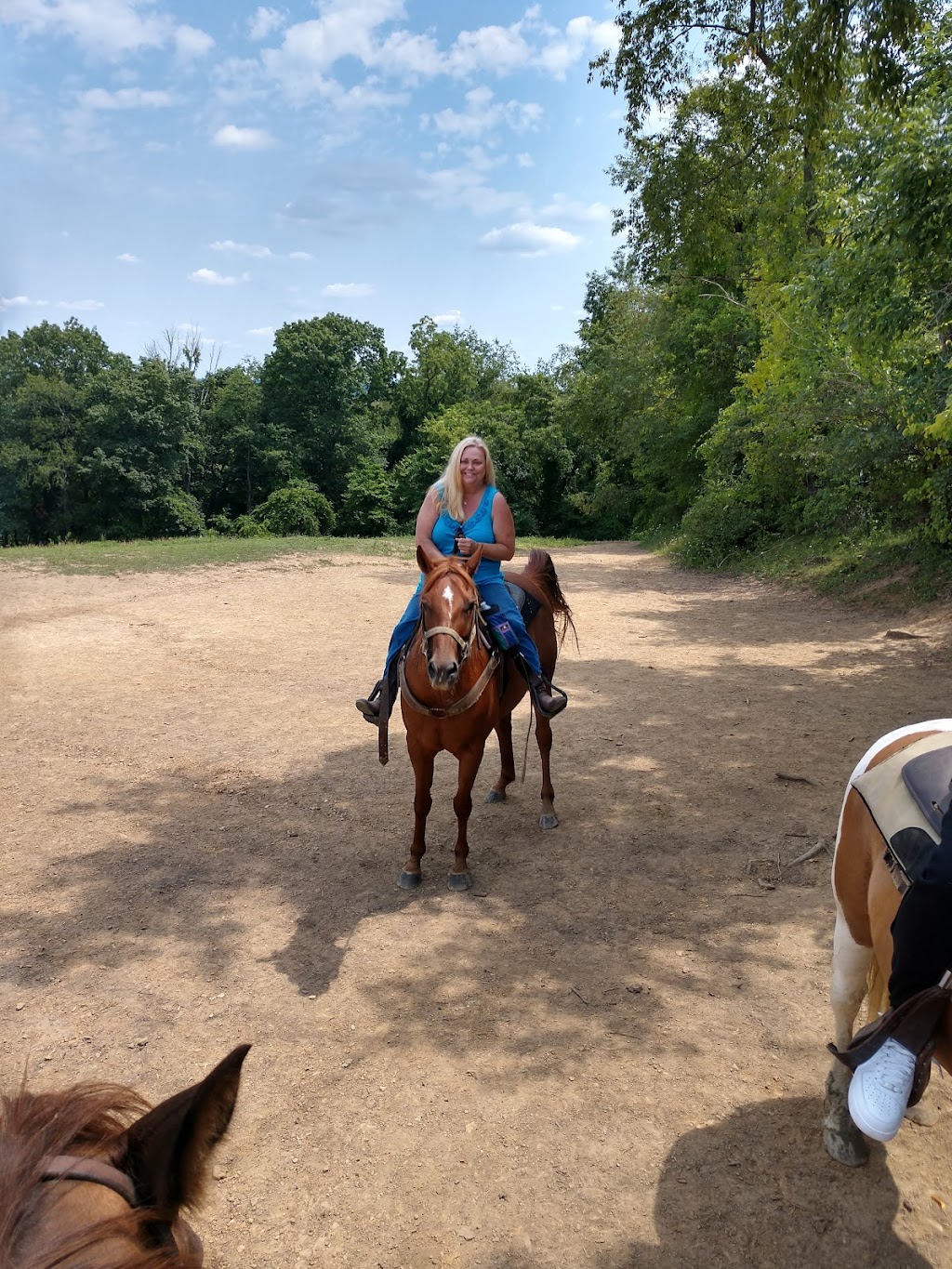 Rolling Hills Ranch - 677 Hickory Grade Rd, Bridgeville, PA 15017