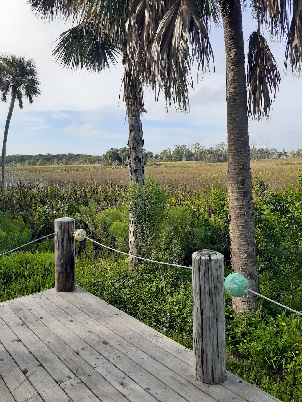 Mary's Fish Camp - 8092 Marys Fish Camp Rd, Spring Hill, FL 34607 ...