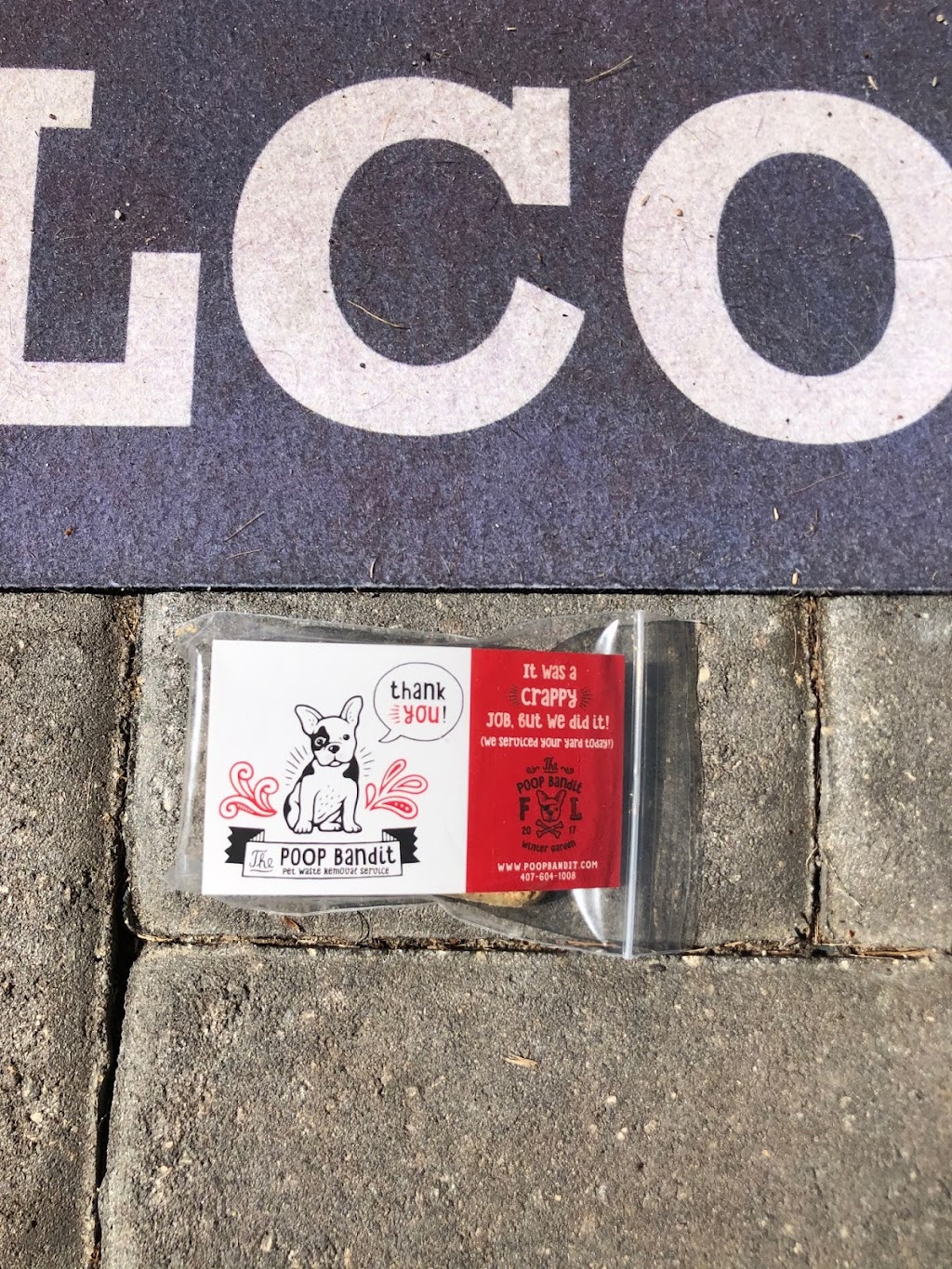 Poop Bandit - Dog Pooper Scooper Pickup - 16227 Wind View Ln, Winter ...