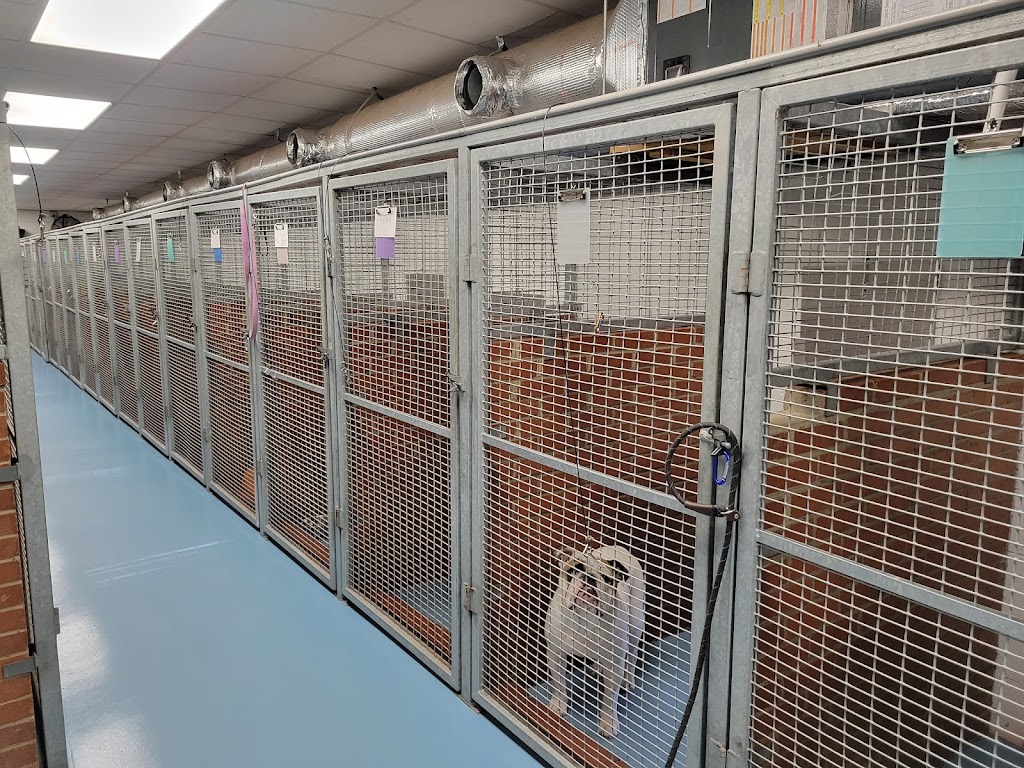 Noah's Ark Kennel & Cattery - 1217 E Franklin St #3, Chapel Hill, NC ...