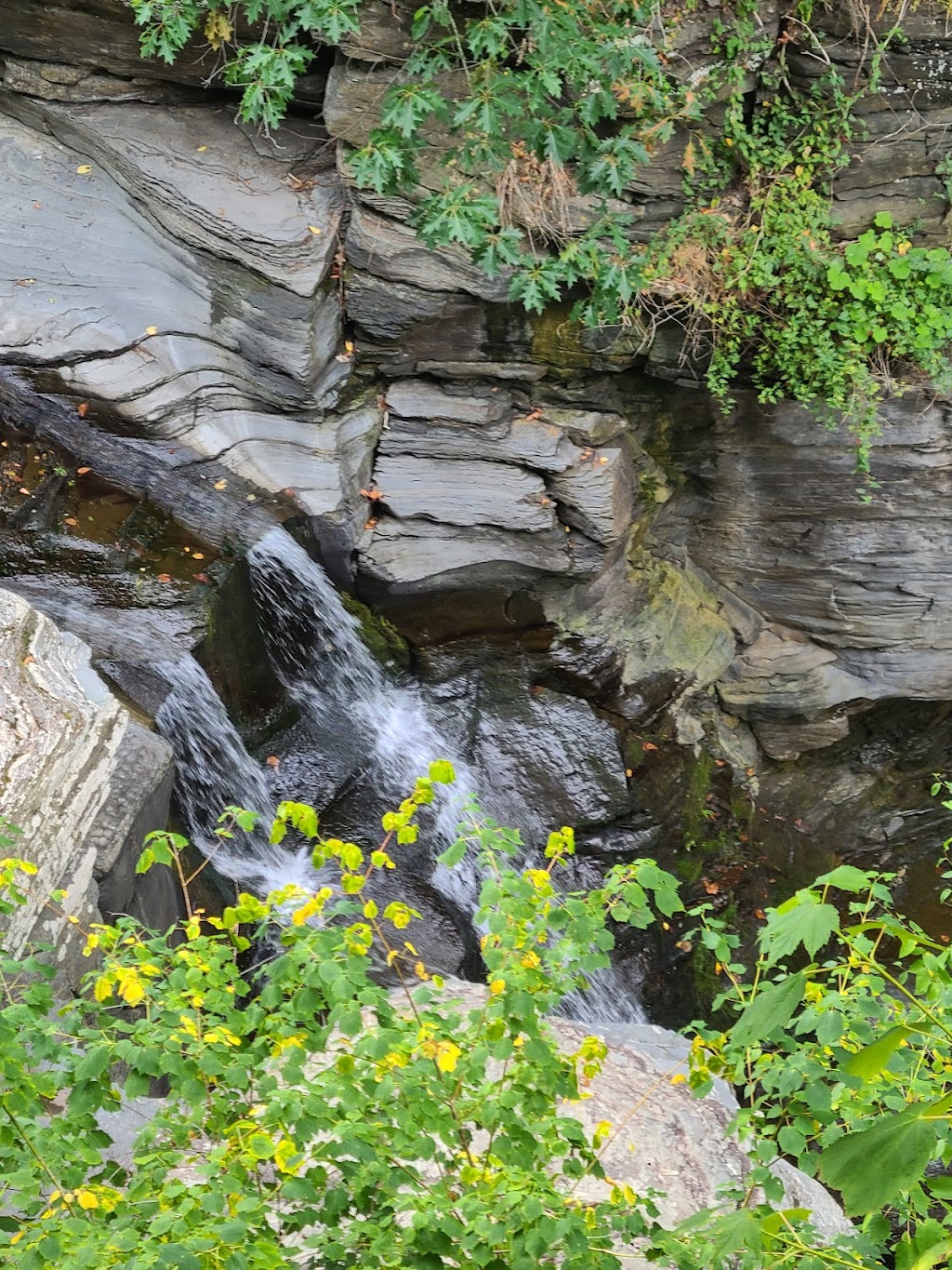 Mine Kill State Park - 161 Mine Kill Rd, North Blenheim, NY 12131