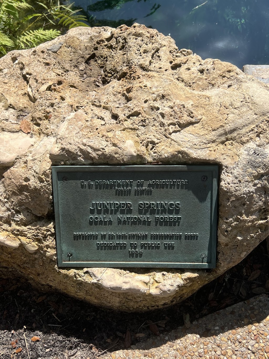 Juniper Springs Recreation Swimming Area, Marion County, FL - 26701 FL ...