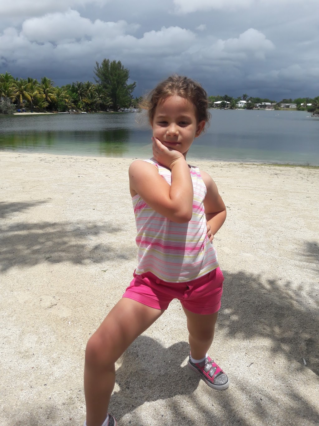 Saga Bay Park - 8000 SW 205th St, Cutler Bay, FL 33189 - Hours ...