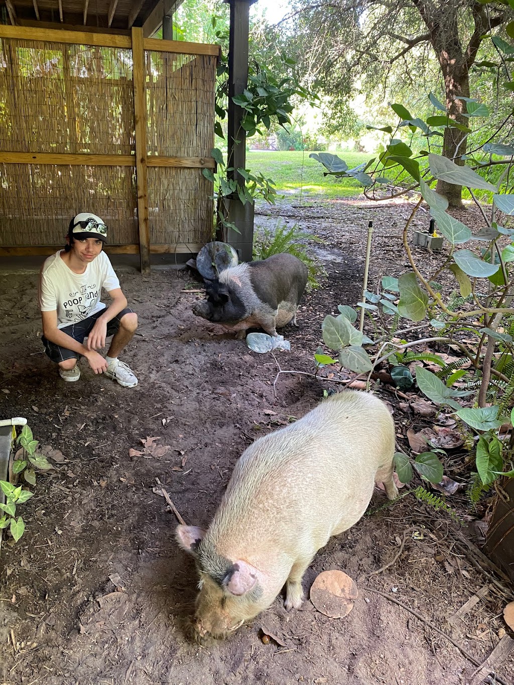 Poop Bandit - Dog Pooper Scooper Pickup - 16227 Wind View Ln, Winter ...