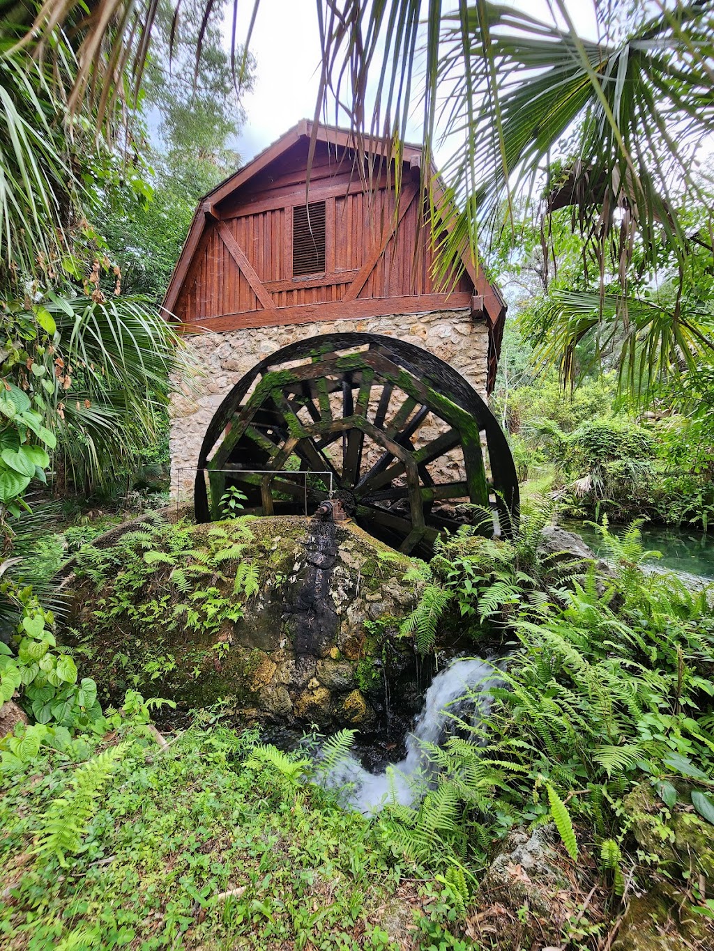 Juniper Springs Recreation Swimming Area, Marion County, FL - 26701 FL ...