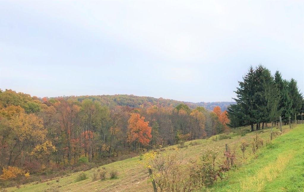 Heasley's Nurseries Inc. - 247 Freeport Rd, Butler, PA 16002, USA ...