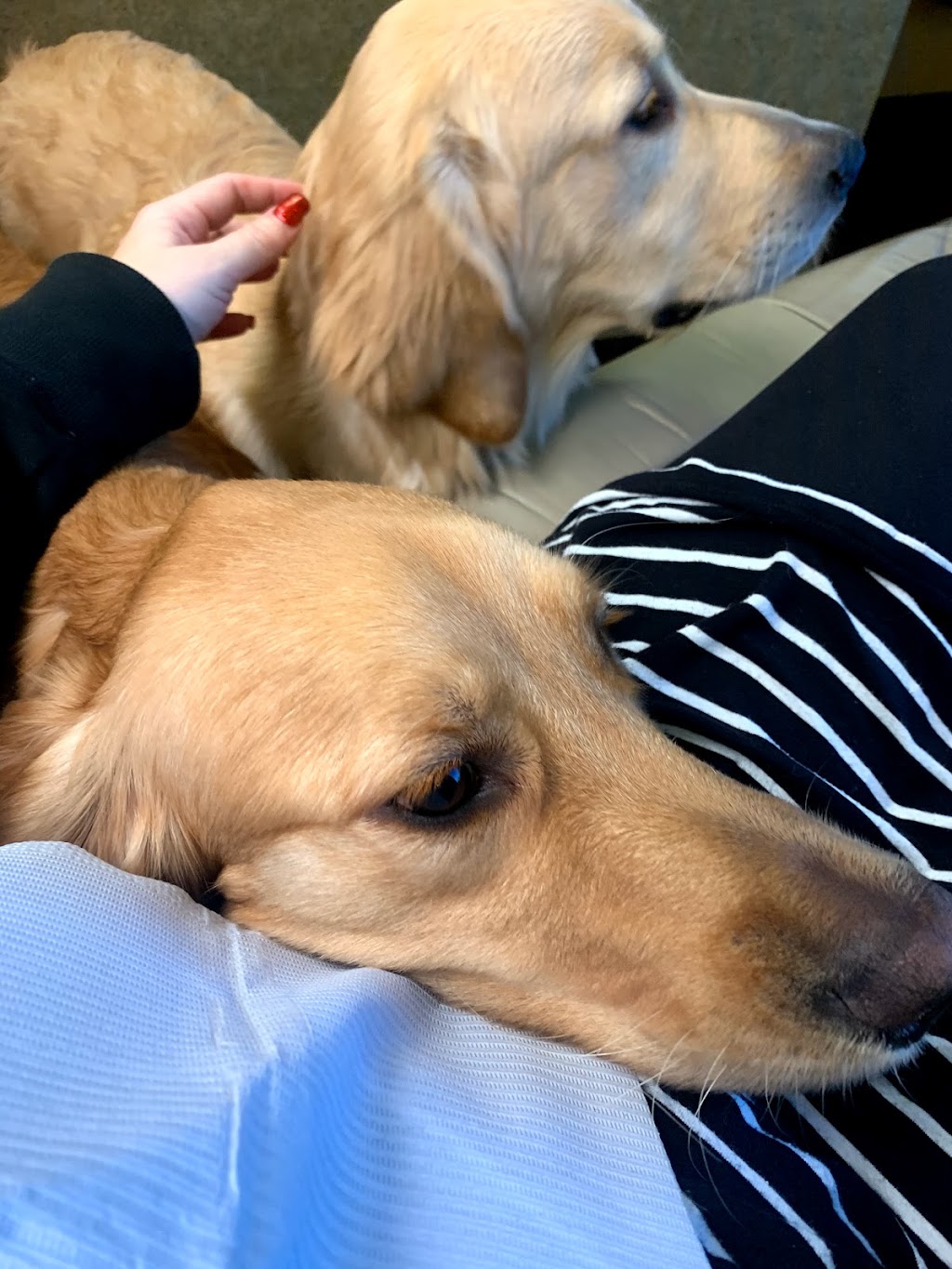 Smith Endodontics - 1520 Business Center Dr # 1, Fleming Island, FL ...