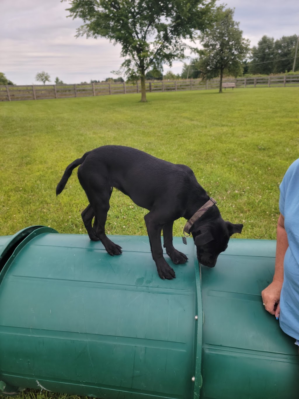 Wiggly Field Dog Park - 7850 VOA Park Dr, West Chester Township, OH ...